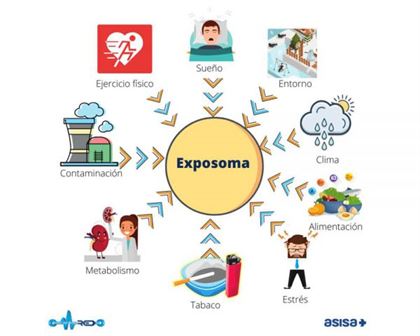 ¿Qué es el exposoma?
