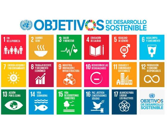 Objetivos de Desarrollo Sostenible: salud y bienestar